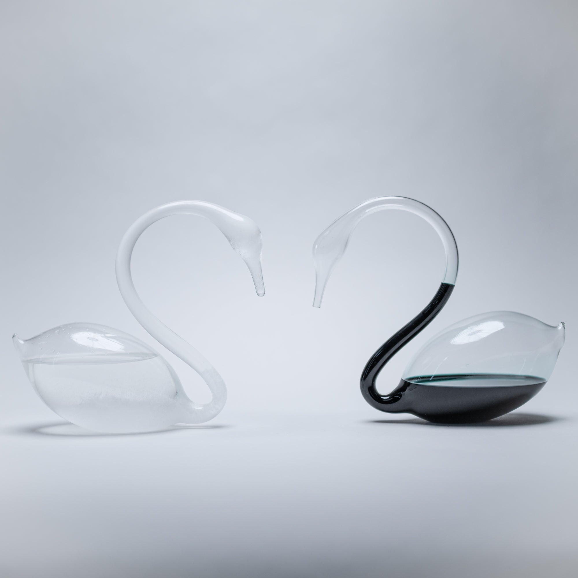 Black Swan Storm Glass Barometer – Blackswan Hourglass